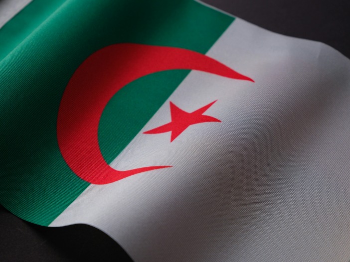 Algeria's Government System: An Overview of Its Political Structure ...