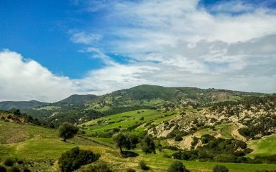 Algeria's Berber Heritage: Preserving the Cultural Identity of North ...