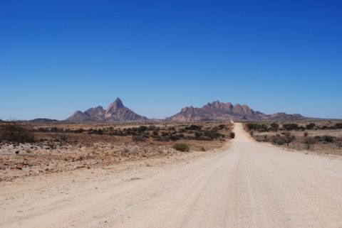 CastleBet Namibia: Your Ultimate Destination for Online Betting and ...