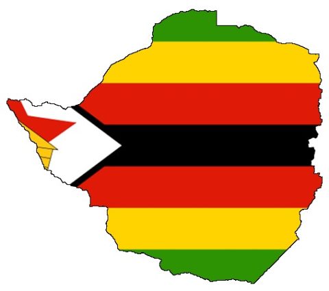 Examining the Demographics of Zimbabwe: Population Trends and ...
